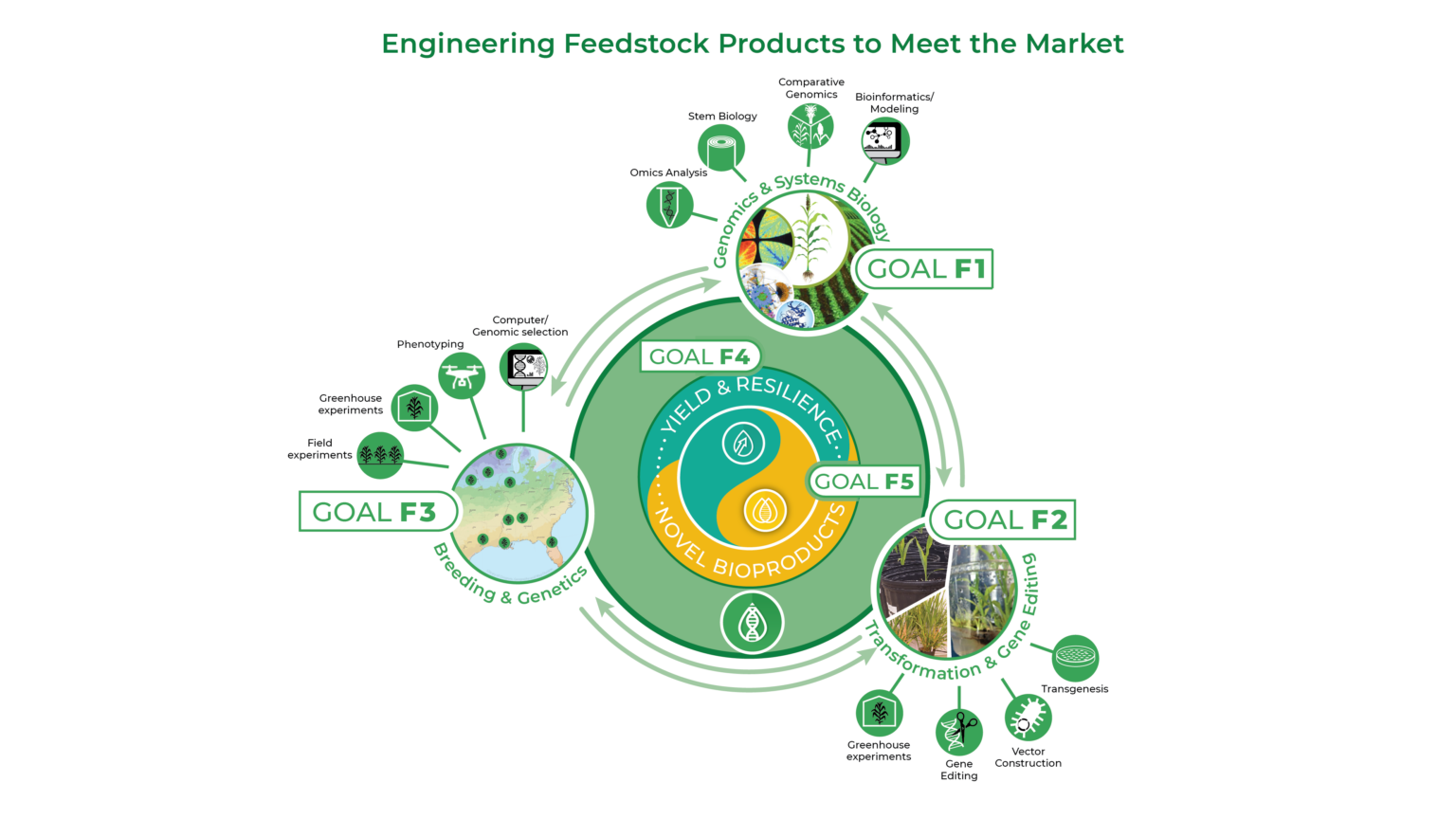 Feedstock Production - CABBI